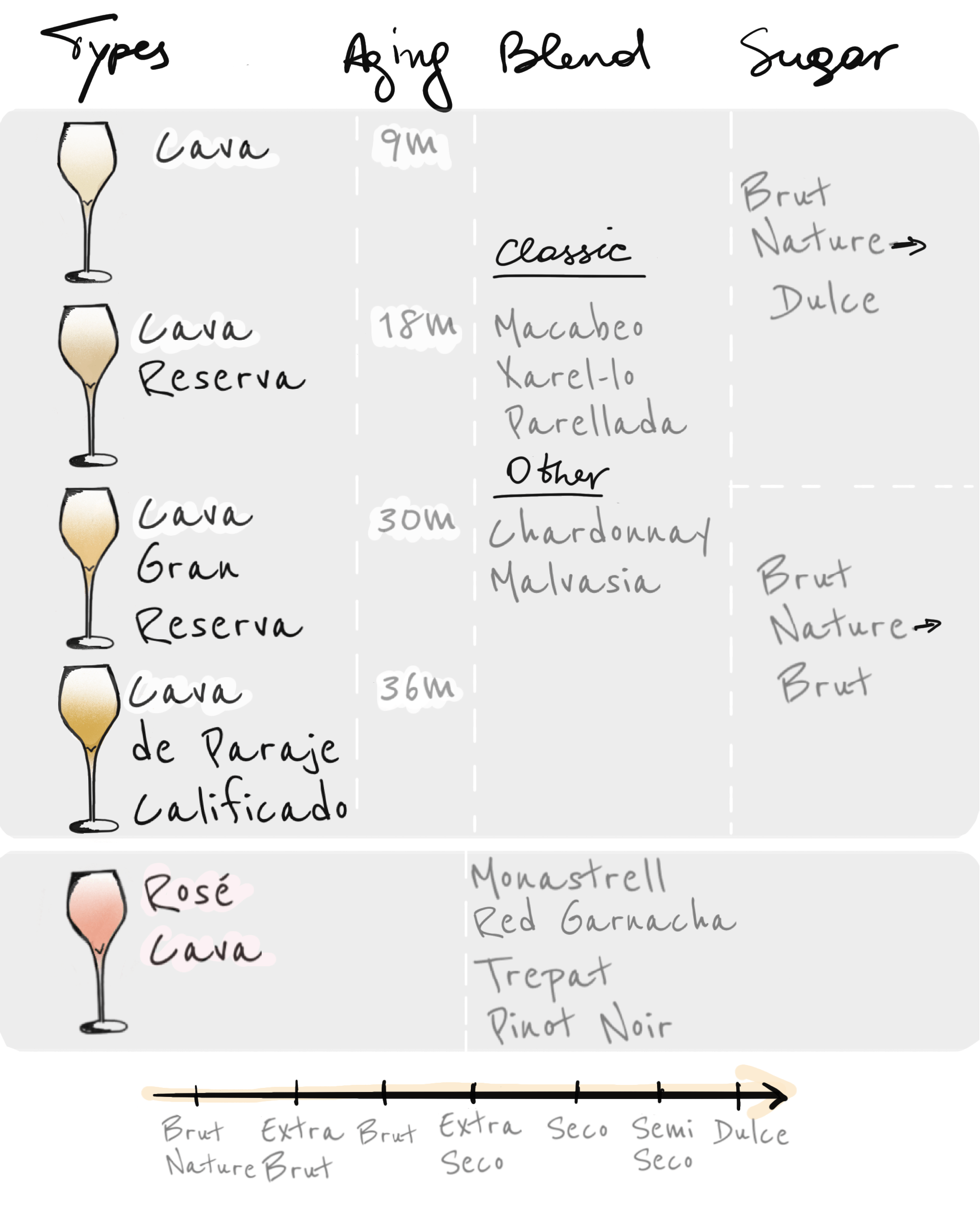 Cava – My cup of wine