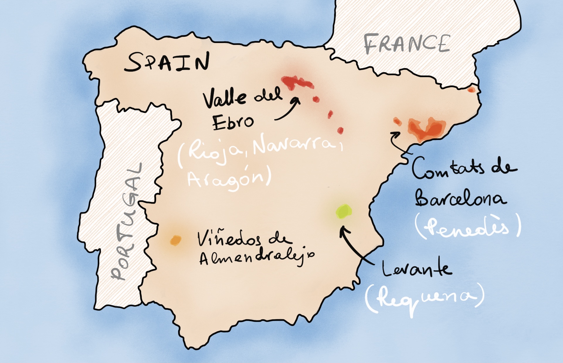 Cava – My cup of wine